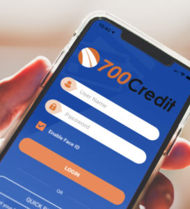 QuickMobile - 700 Credit