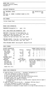 Route One Credit Report - 700 Credit