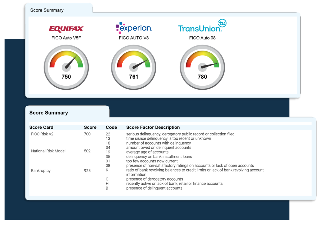 Insight Score - 700 Credit